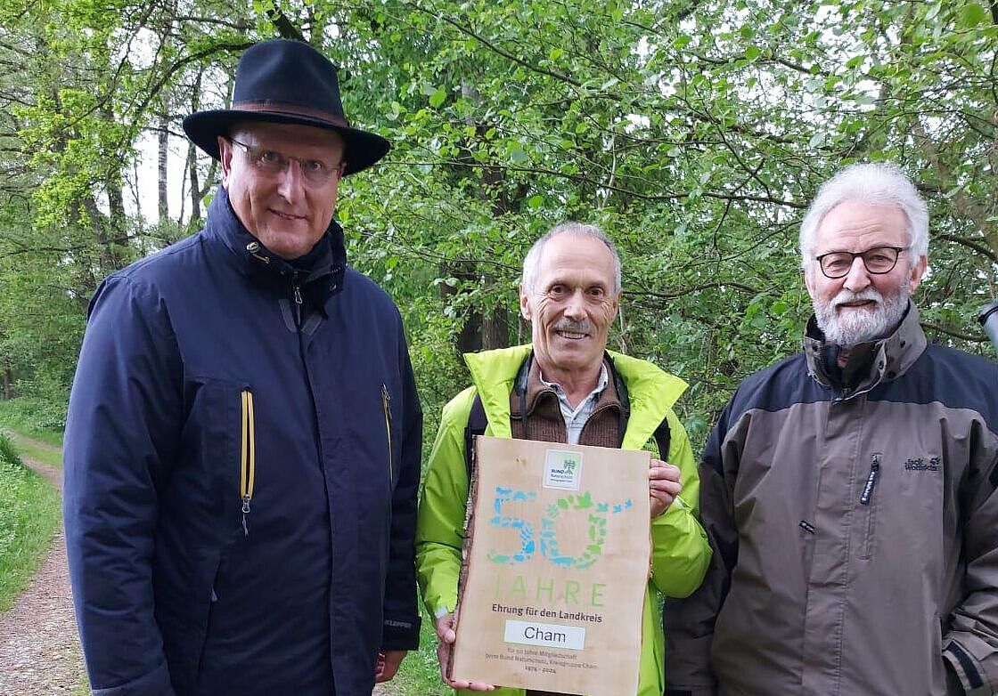 Ein Kronjuwel des Naturschutzes - Die Rötheseeweiher - BUND Naturschutz ...
